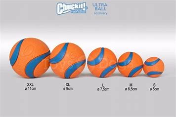 Chuckit Ultra Balls - Pets n Families chuckit ultra balls